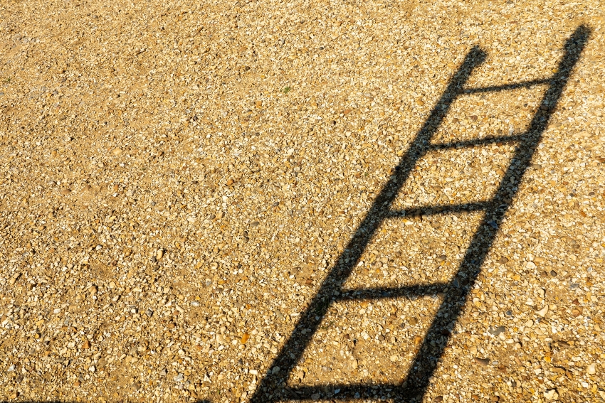 You Aren’t a Failure Because You Don’t Want to Move Up the Ladder - Zen ...